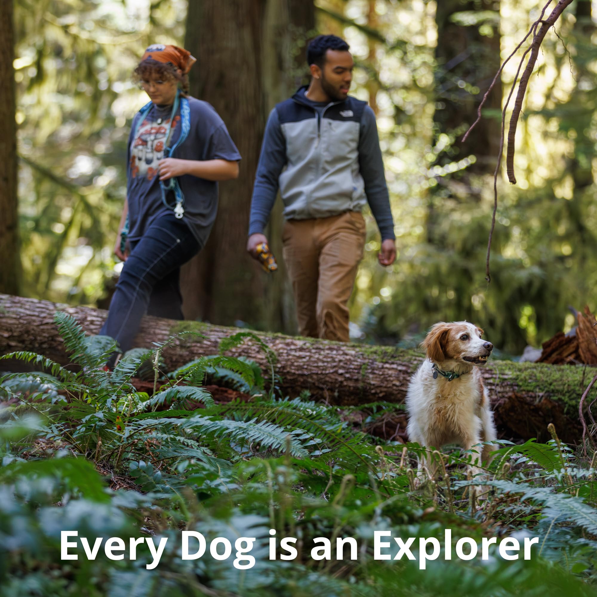Ruffwear, Crag Ex Leash, Extendable Dog Leash, Hand-Held or Waist-Worn Reflective Lead, Sunset