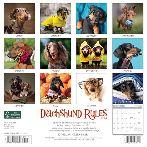 Willow Creek Press Dachshund Rules Monthly 2024 Wall Calendar (12" x 12")