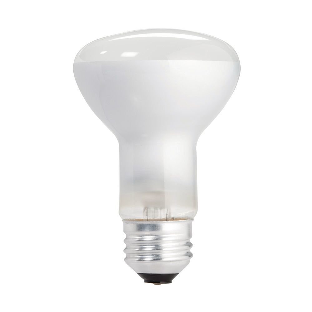 PHILIPS 223156 Spot Light, 12 Count (Pack of 1), White
