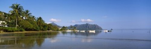Posterazzi Palm trees at a coast Kaneohe Bay Oahu Hawaii USA Poster Print, (36 x 12)