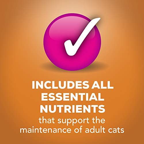 Purina Friskies Gravy Pate, Wet Cat Food Extra Gravy Pate With Chicken in Savory - (Pack of 24) 5.5 oz. Cans