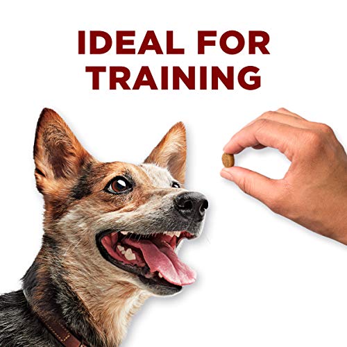 Purina ONE Made in USA Facilities Dog Training Treats, True Instinct Bites With Venison - 20 oz. Pouch