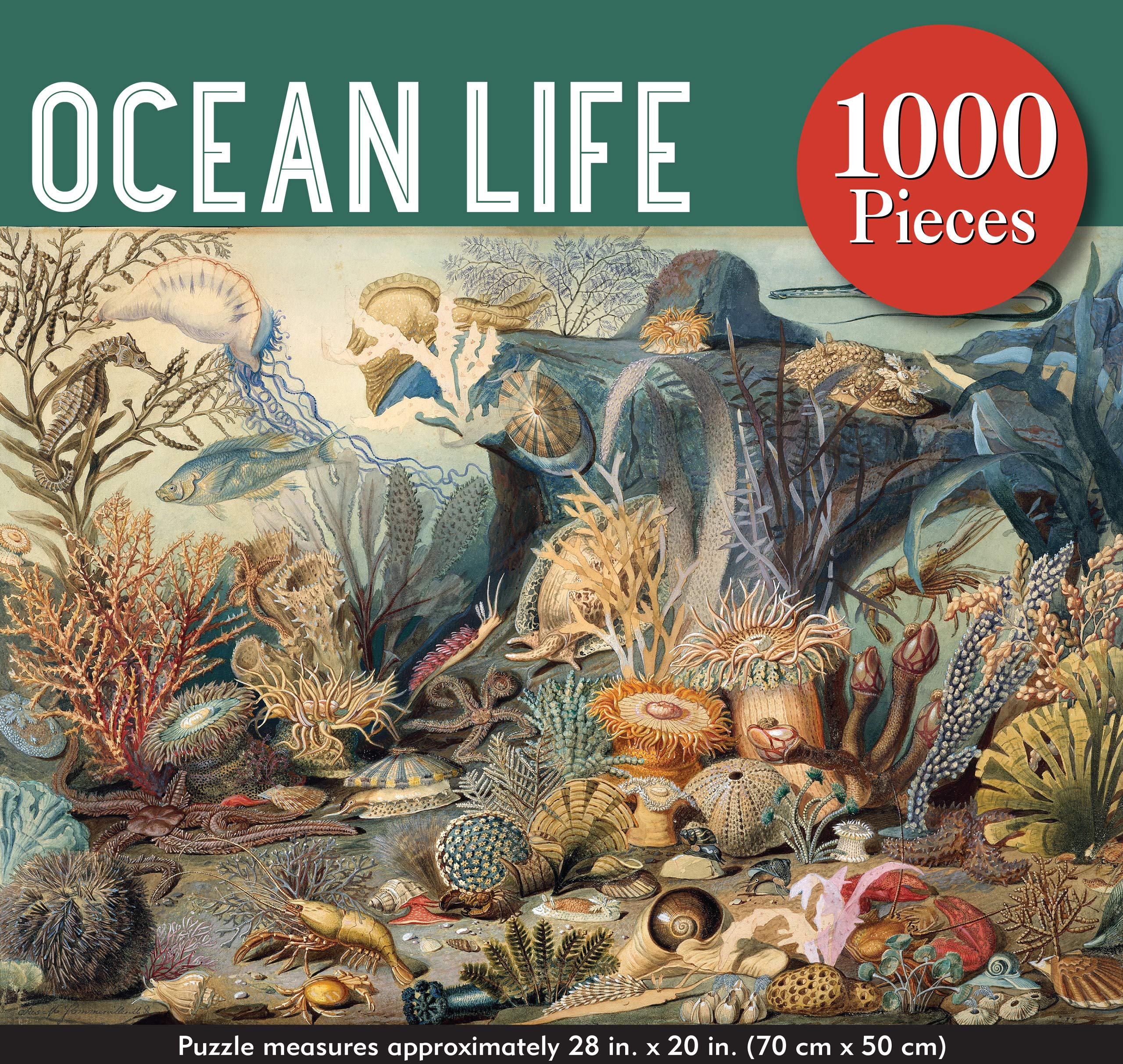 PETER PAUPER PRESS, Inc. Ocean Life 1000 Piece Jigsaw Puzzle