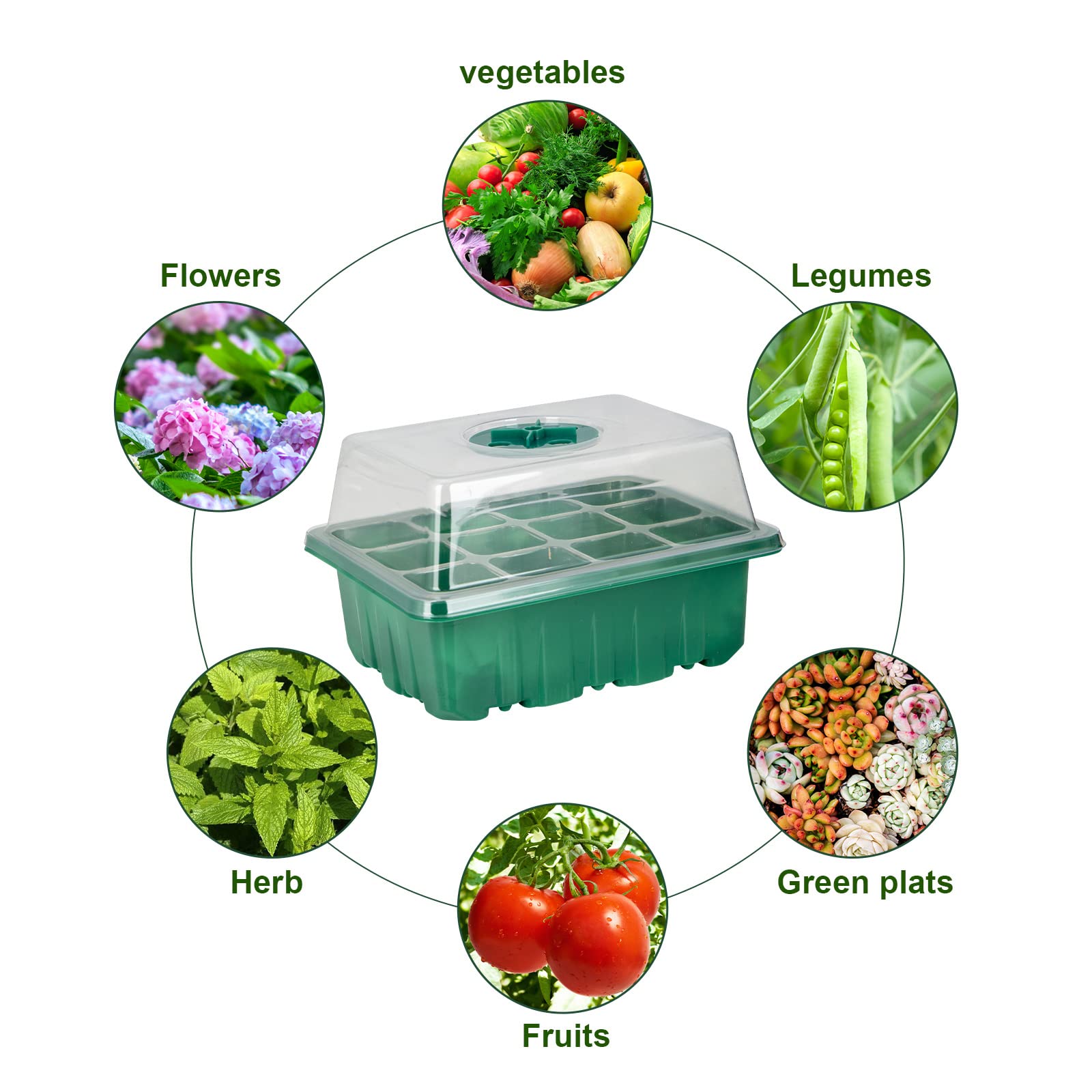 PONGJA 12 Packs Seed Starter Tray Seedling Tray (12 Cells per Tray) Humidity Adjustable Plant Starter Kit with Dome and Base Grow Trays for Seeds Growing Starting (6 Green & 6 Black)