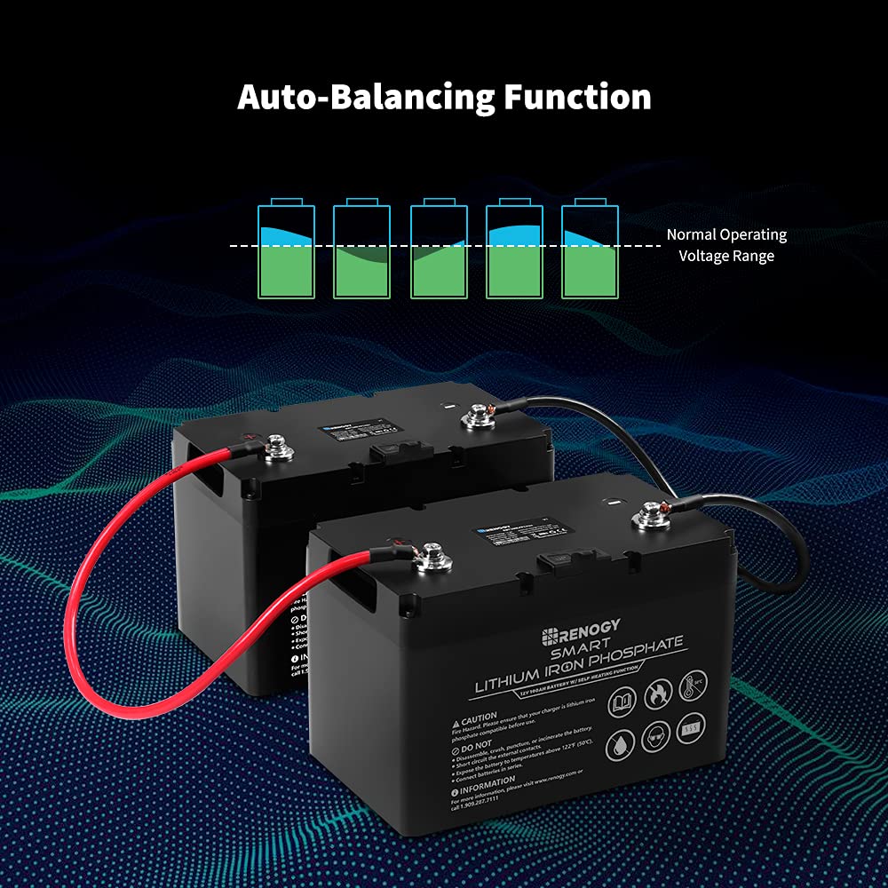 Renogy 2 Pack Smart Lithium-Iron Phosphate Battery 12V 100Ah w/Self-Heating Function for RV, Solar, Marine, and Off-Grid Applications