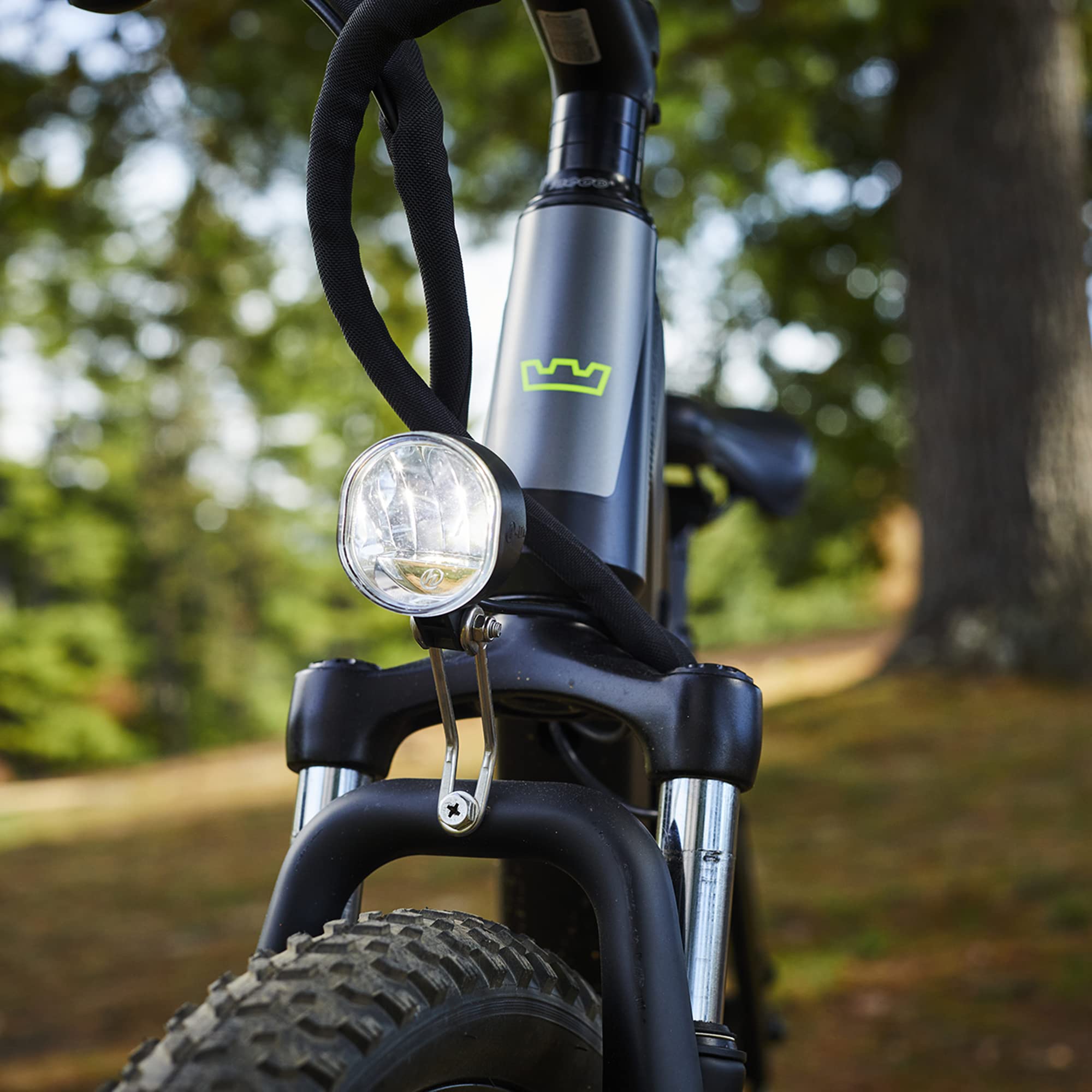 ROYCE UNION RTE 26” Electric Mountain Bike, Pedal Assist to 20MPH, Matte Black, 8 Speed, Removable 36V 10.4AH Lithium Battery