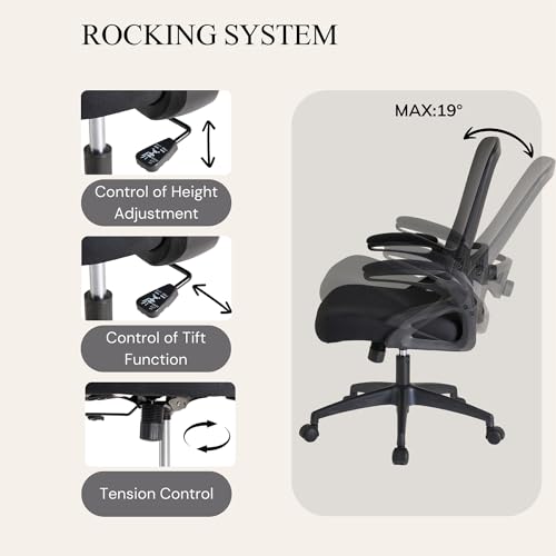 RIGHTPARTS Ergonomic Office Desk Chair,Mesh High Back Computer Chair with Adjustable 3D Headrest & Lumbar Support & Flip-Up Arms Executive/Home/Study/Work Office Desk Chairs(Black+ Gray)