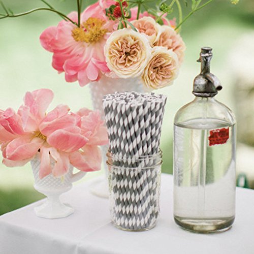 Striped Paper Straws - Silver White - Christmas Holiday Wedding Anniversary Party Supply - 7.75 Inches - 100 Pack - Outside the Box Papers Brand