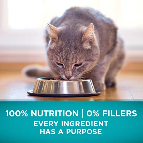 Purina ONE Natural, High Protein, Grain Free Dry Cat Food, True Instinct With Real Ocean Whitefish - 6.3 lb. Bag