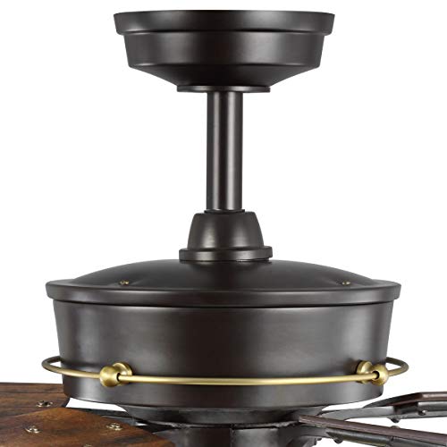 Progress Lighting Teasley Collection 56" Five-Blade Ceiling Fan with Glass Shades