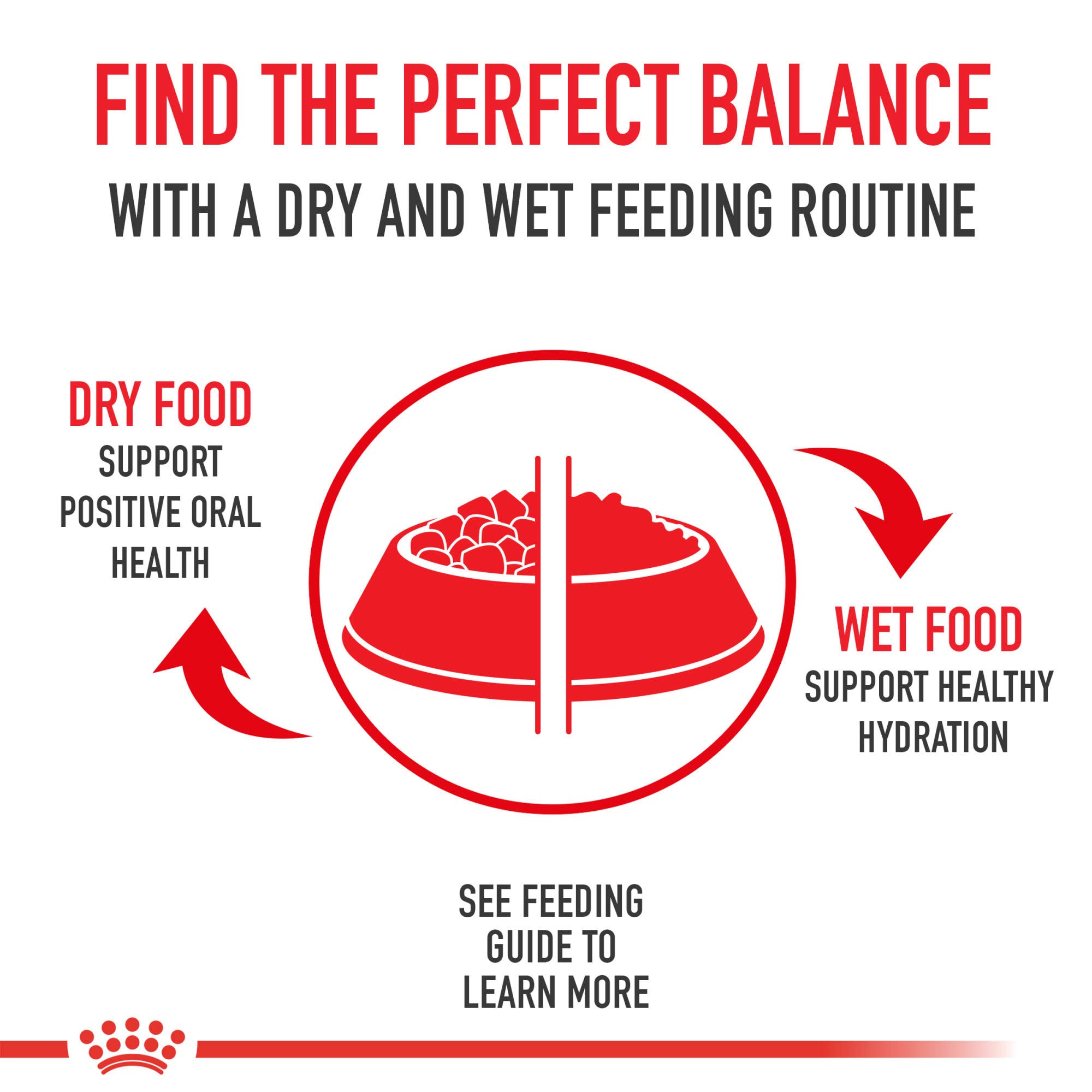 Royal Canin Coat Care Wet Dog Food, 13.5 oz cans 12-count