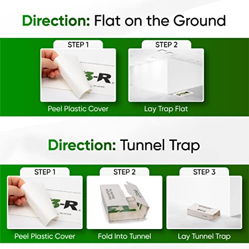 T3-R Sticky Large Rat & Mice Glue Traps | Mouse and Insect Glue Boards | Disposable Non-Toxic Glue Traps for Mice and Rats | Peanut Butter Scent Sticky Traps (36 Pack)