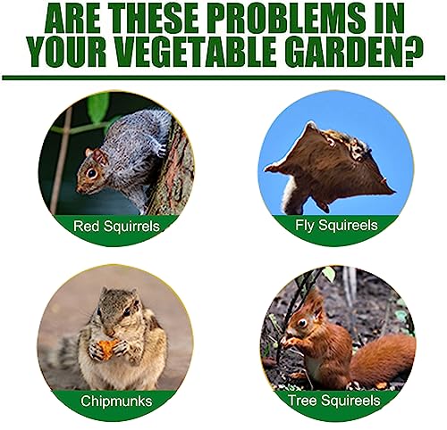 Squirrel Repellent 12 Pack, Chipmunk Repellent Outdoor, Natural Squirrel Repellent & Mint Squirrel Deterrent for Bird Feeders/Garden/Attic,Safe Around Kid & Pets, Keep Squirrel Away for Plants