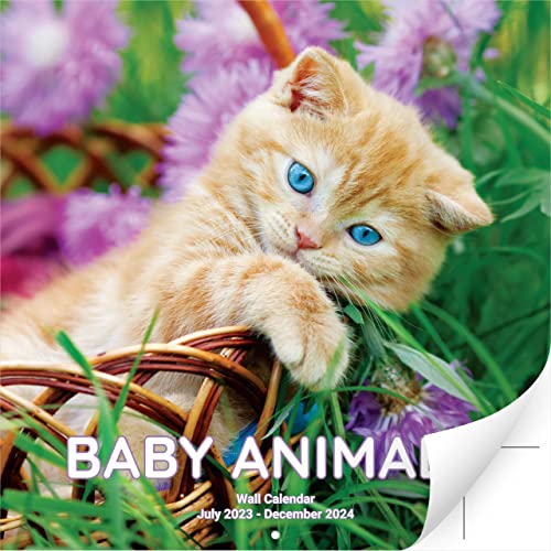 Super Cute 18 Month Baby Animals Wall Calendar 2023-2024. Big 12x12 Inch Novelty Gift With Puppies, Kittens and More. Great for Men, Women or Kids. Perfect Stocking Stuffer or Decor for Animal Lovers.