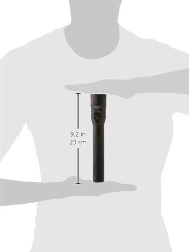 Streamlight 75866 Stinger 425-Lumen DS LED Flashlight, 120V AC/12V DC Steady Charger and 1 Smart Charge Holder, Black, Clear Retail Packaging