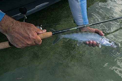 St. Croix Rods Triumph Inshore Casting Rod