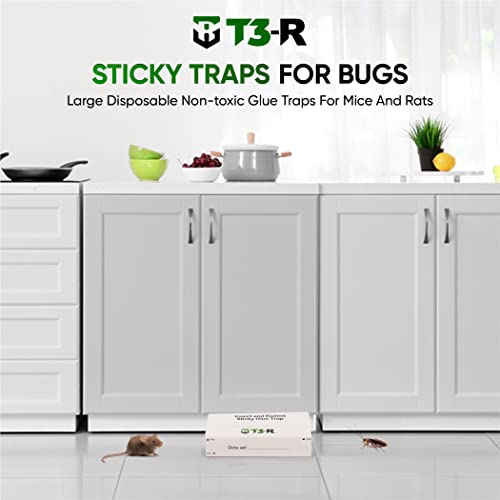 T3-R Sticky Large Rat & Mice Glue Traps | Mouse and Insect Glue Boards | Disposable Non-Toxic Glue Traps for Mice and Rats | Peanut Butter Scent Sticky Traps (36 Pack)