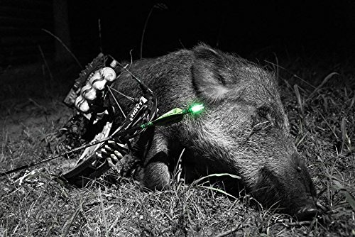 Nockturnal Lighted Nocks for Arrows with .246 / .244/204 Inside Diameter, Green