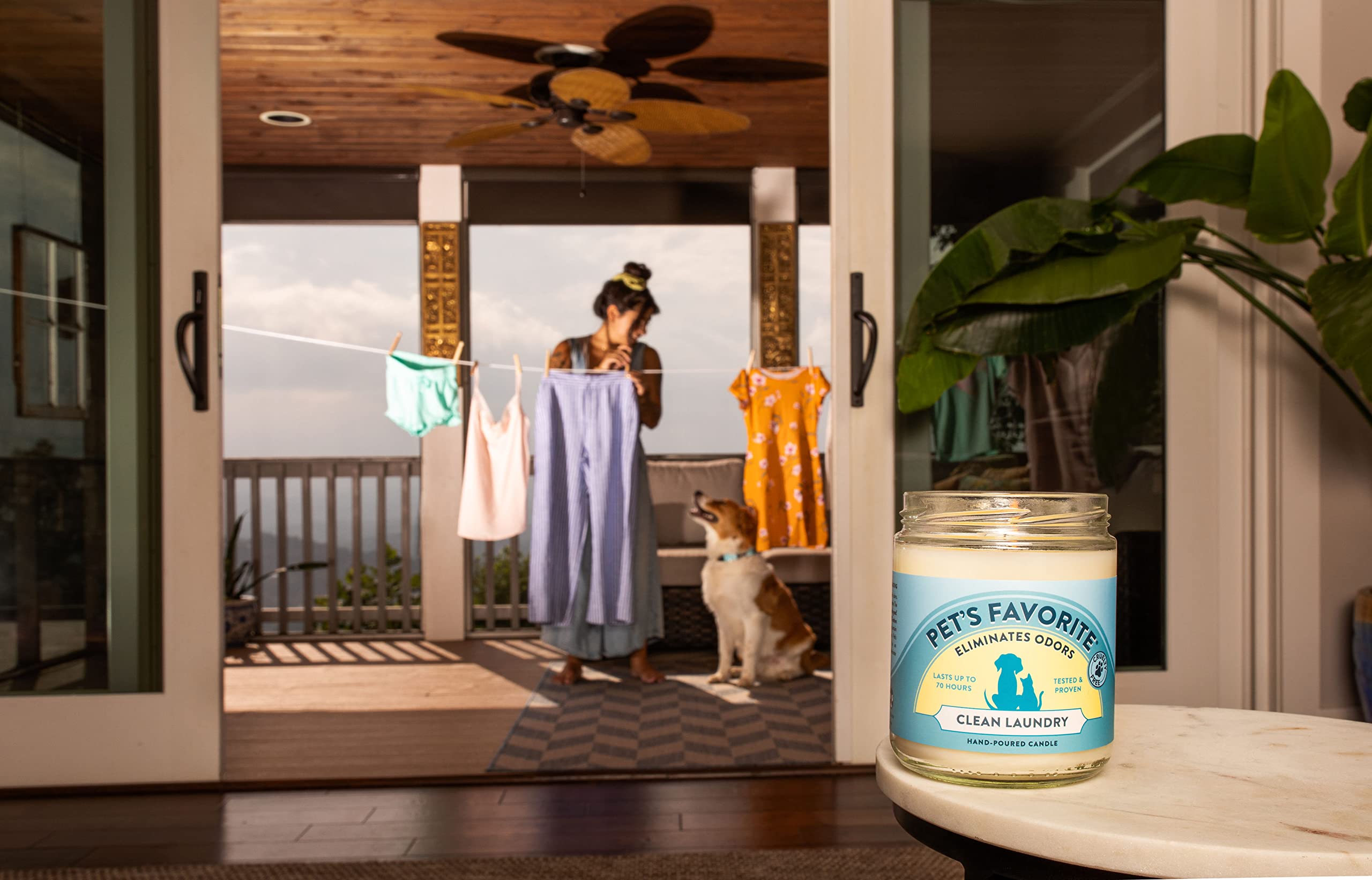 Pet's Favorite - Tested & Proven - Odor Eliminating Candle, Pet-Friendly Scented Candle, in 7 Great Fragrances β 70-Hour Burn Time, Cotton Wick (Fresh Laundry, Pack of 2)