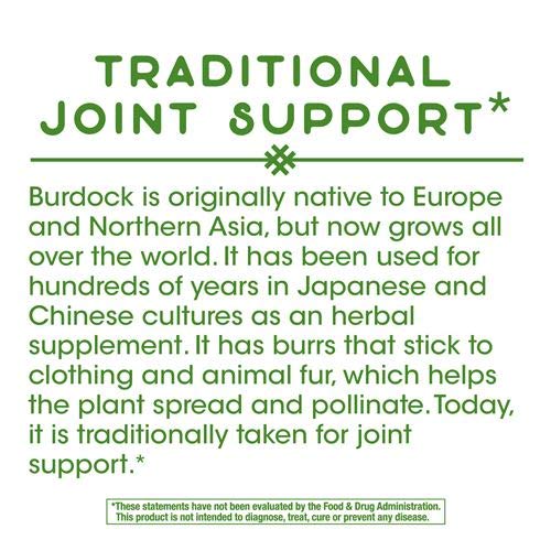 Nature's Way Burdock Root 475 mg per capsule,100 Count (Pack of 2)