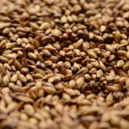 Patagonia Caramel 190L Crushed Malt - 10 lb. Bag
