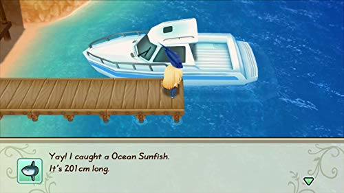 Story of Seasons: Friends of Mineral Town - Nintendo Switch