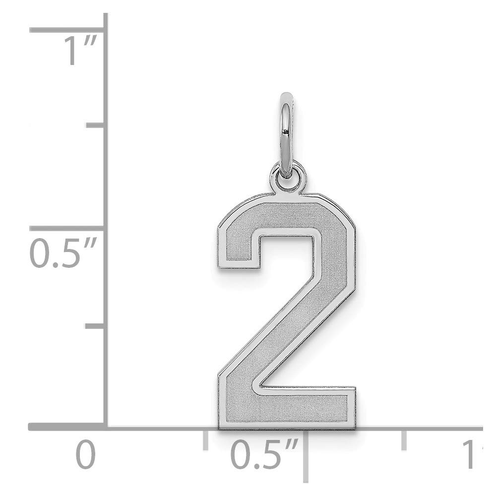 Saris and Things 925 Sterling Silver Medium Satin Number 2 Charm Pendant