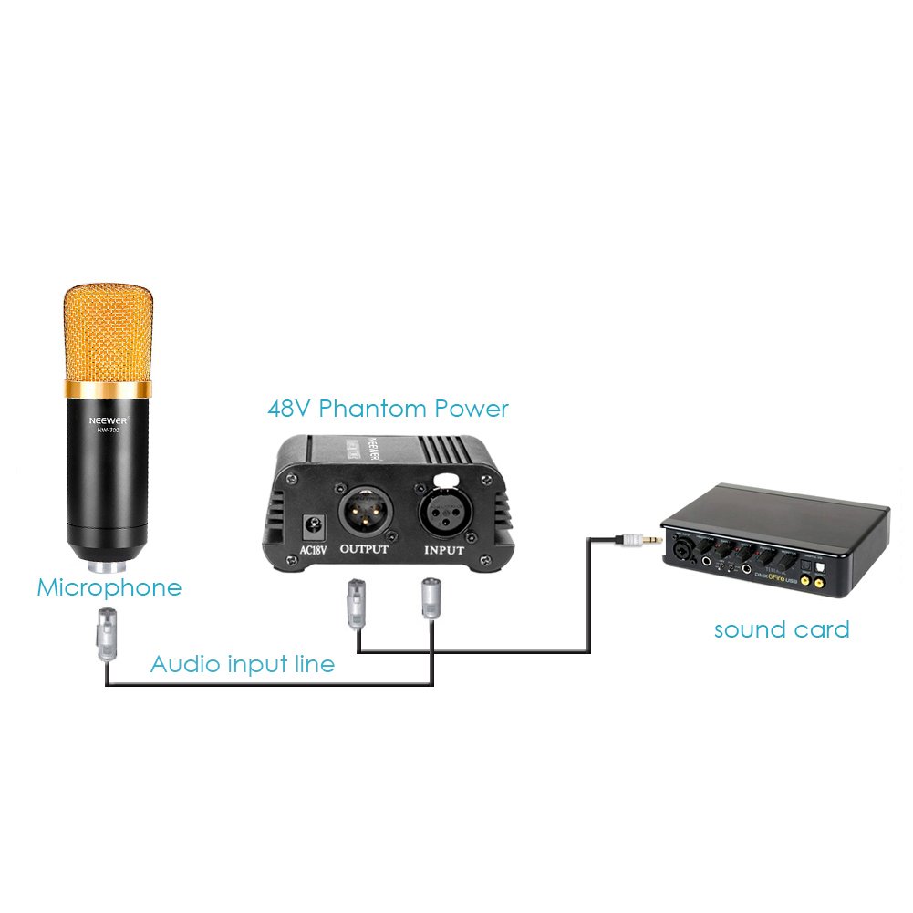 Neewer 1- Channel 48V Phantom Power Supply Black with Adapter and XLR Male to XLR Female Cable (2 Pack)