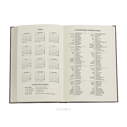 Van Gogh's Irises (Van Gogh's Irises) Maxi 12-month Dayplanner 2024