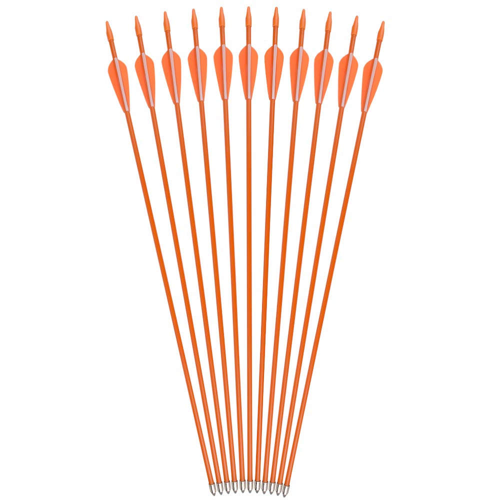 NIKA ARCHERY Fiberglass Arrows Youth Kids Practise Recurve Bows Compound Bow Shooting 12 pcs 24 inch Shafts