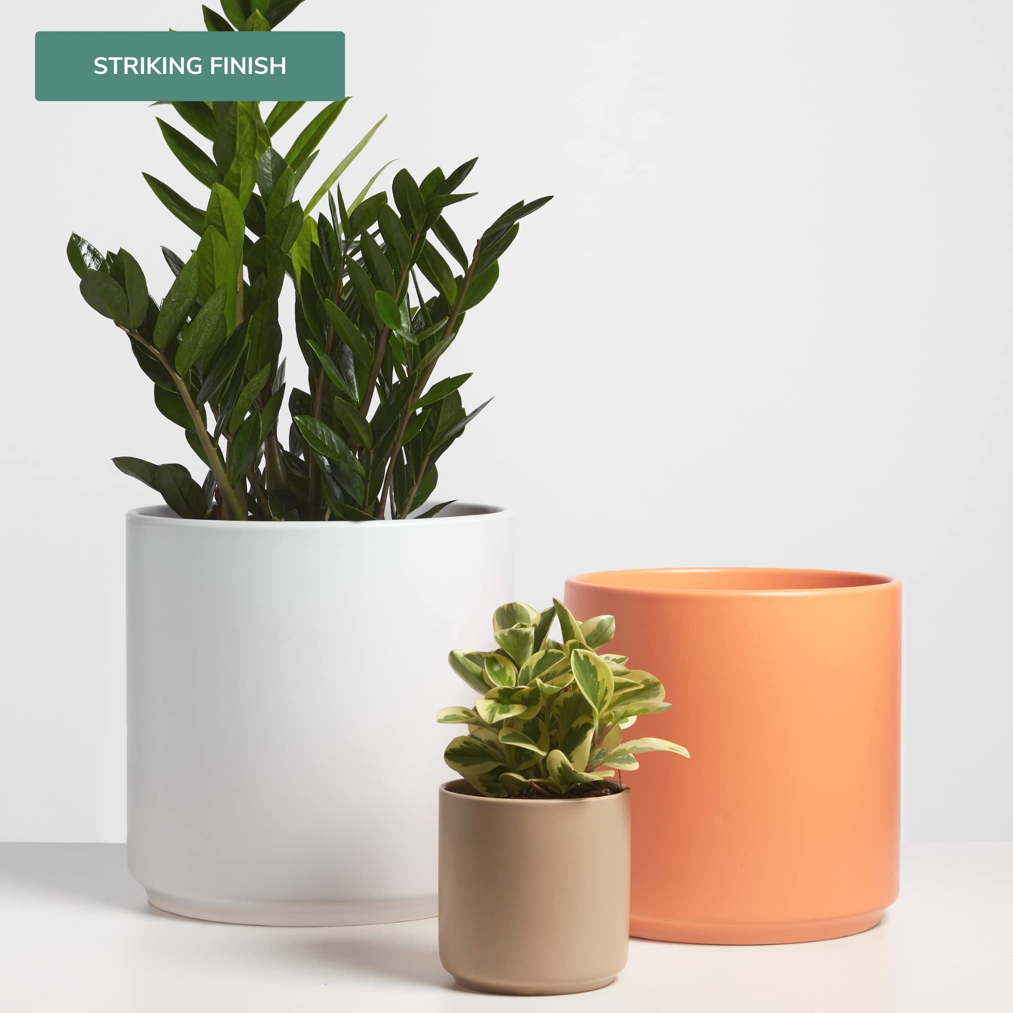 PEACH & PEBBLE 10 Inch White Ceramic Planter. Classic Cylinder Plant Pot for House Plants and Indoor Plants (Drainage + Stopper Included).