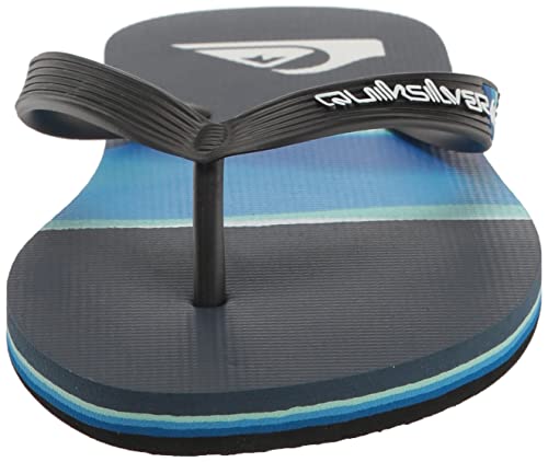 Quiksilver Men's Molokai Airbrushed 3 Point Flip Flop Sandal, Blue 1, 12