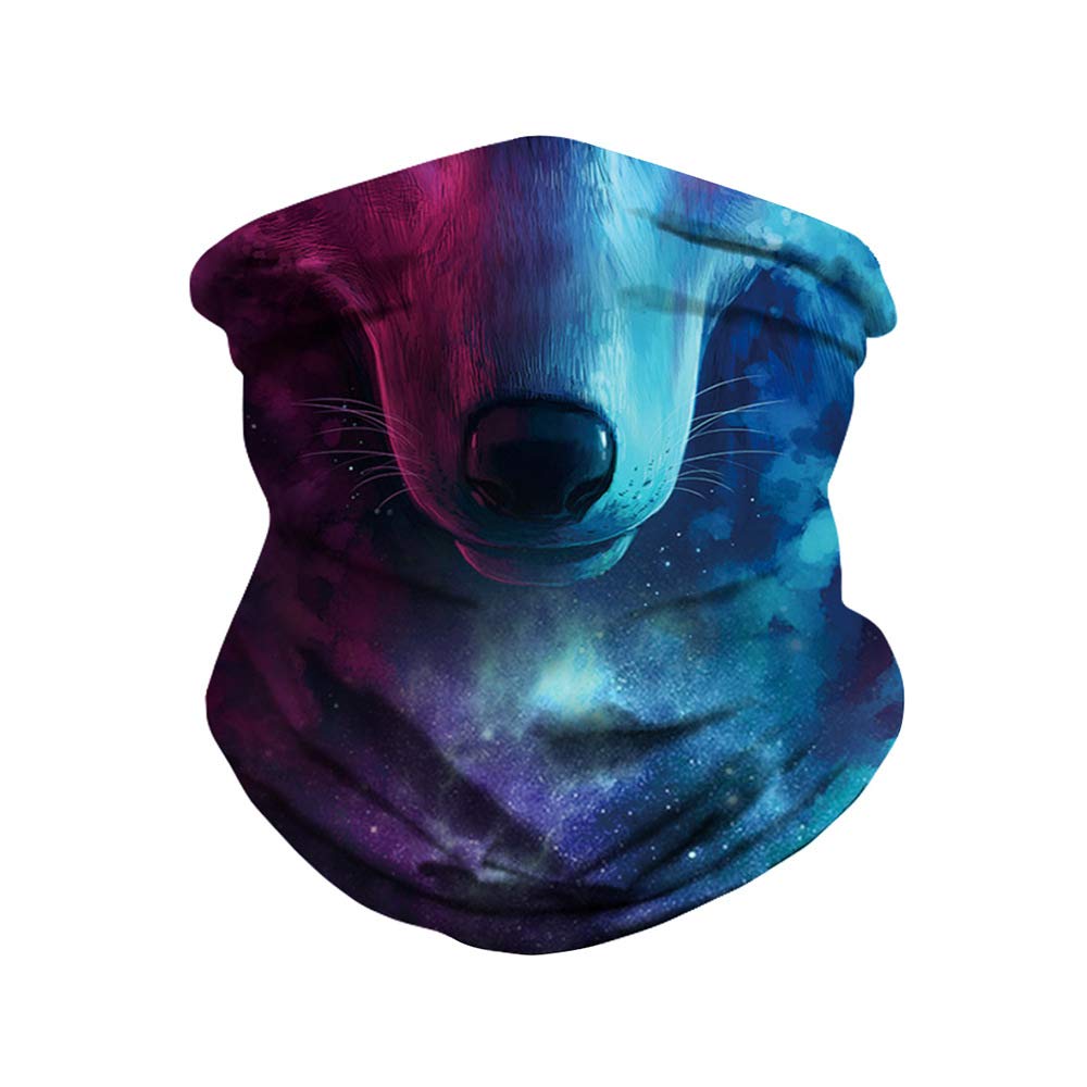 Outdoors Seamless Neck Gaiter, Headwrap, Balaclava, Helmet Liner Face Mask Star Sky Printted Bandanas for Dust (008)