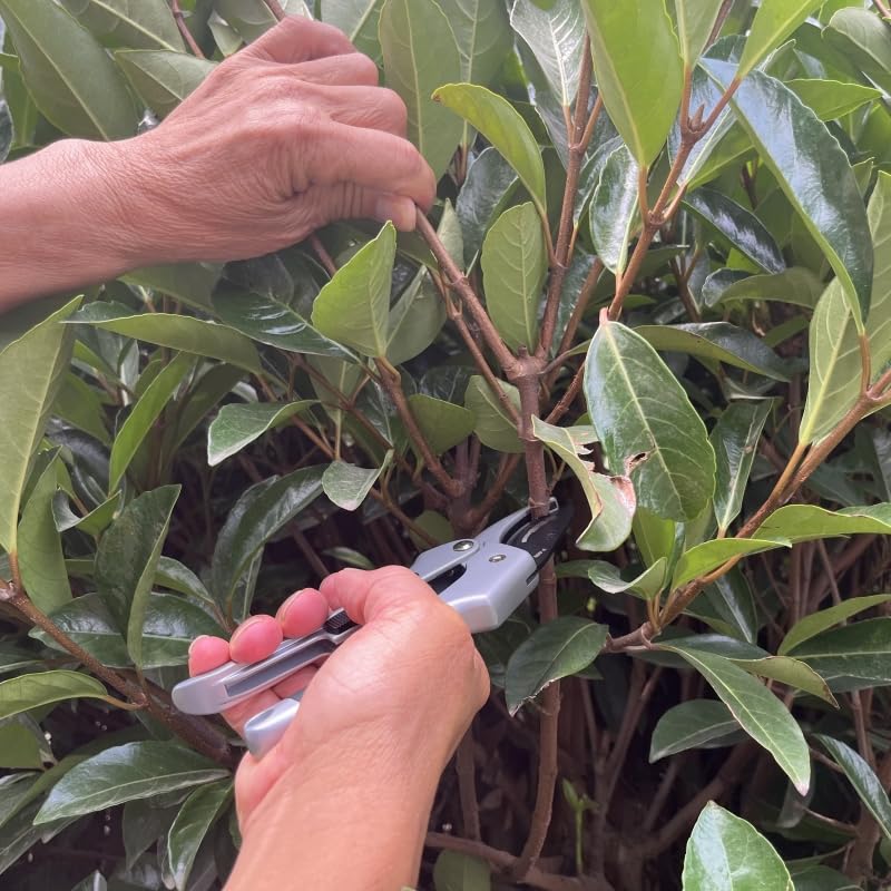 Pruning Shears, Pruning Shears for Gardening, Professional Garden Shears Clippers/Pruning Scissors Labor-Saving with Coated Stainless Steel Blades & Non-slip Handle