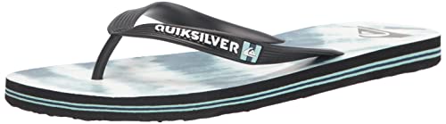 Quiksilver Men's Molokai Art Flip Flop Sandal, Grey 1, 8
