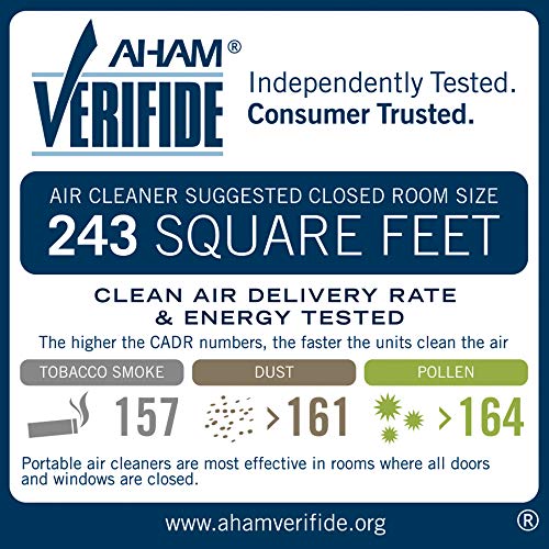 Rowenta 7211003489 PU3040U0 Air Purifier with True Hepa, Active Carbon, and Formaldehyde Filters, 243 Sq Ft, White