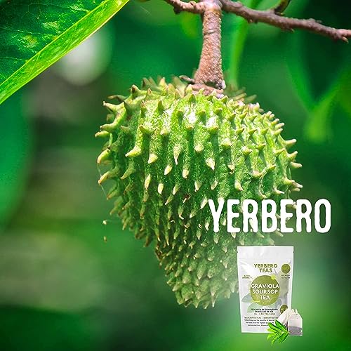 Yerbero - Whole Dried Graviola Soursop Leaves (4 oz - 330+ Leaves Per Bag) Hoja De Guanabana, 100% All Natural Delicious Fresh Tea | From Mexico | Premium Wildcrafted Quality.