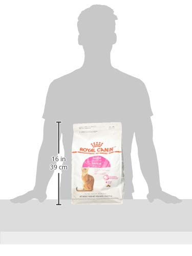 Royal Canin Savor Selective Adult Dry Cat Food, 6 lb bag
