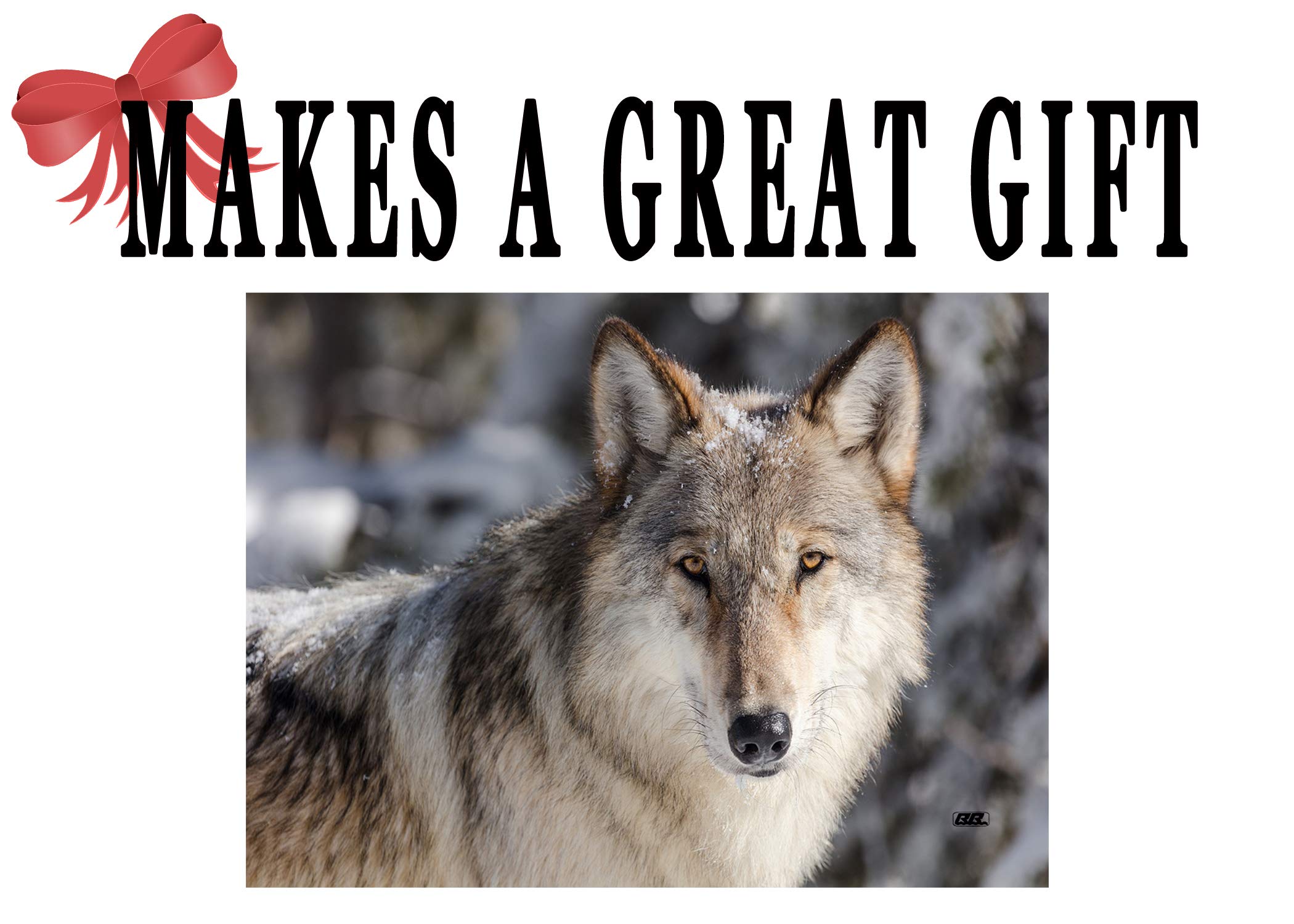 Wildlife Lone Wolf Kitchen Glass Cutting Board Barn Decorative Gift FDesign