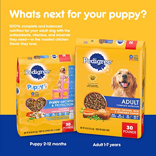 PEDIGREE Puppy Growth & Protection Dry Dog Food Grilled Steak & Vegetable Flavor, 3.5 lb. Bag