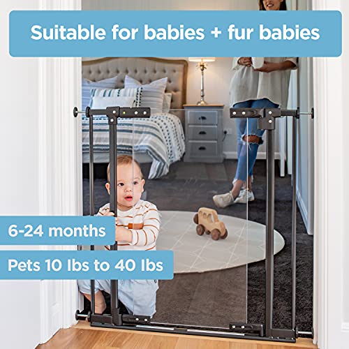 Perma Child Safety Clear Ultimate Safe Step Secure Handle Auto Close Pressure Mounted Gate, Warm Black, Fits Openings 36.6"-40.2" Wide, 2X 4 Extensions Included
