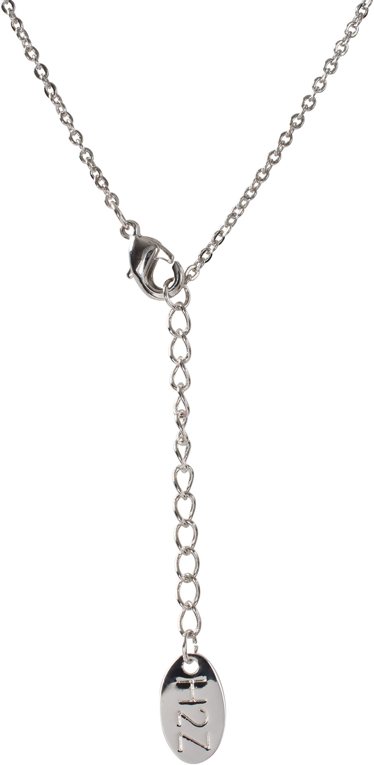 Pavilion Gift Company H2Z 16216 January Garnet Birthstone Necklace with 18" Chain, Brass, Small