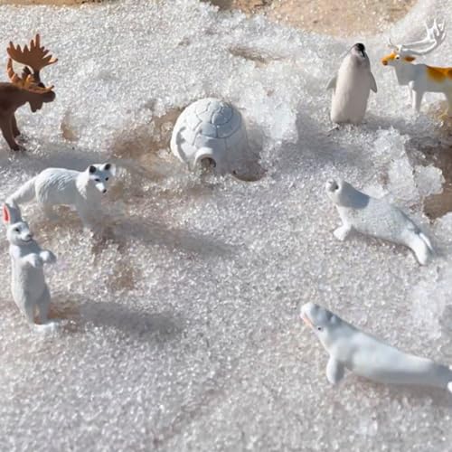Safari Ltd Arctic TOOB With 10 Fun Figurines, Including A Harp Seal, Husky, Caribou, Arctic Rabbit, Killer Whale, Walrus, Arctic Fox, Beluga Whale, Igloo, And Polar Bear β For Ages 3 and Up