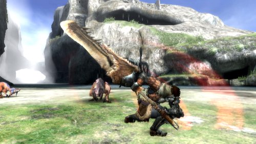 Monster Hunter Tri - Standard