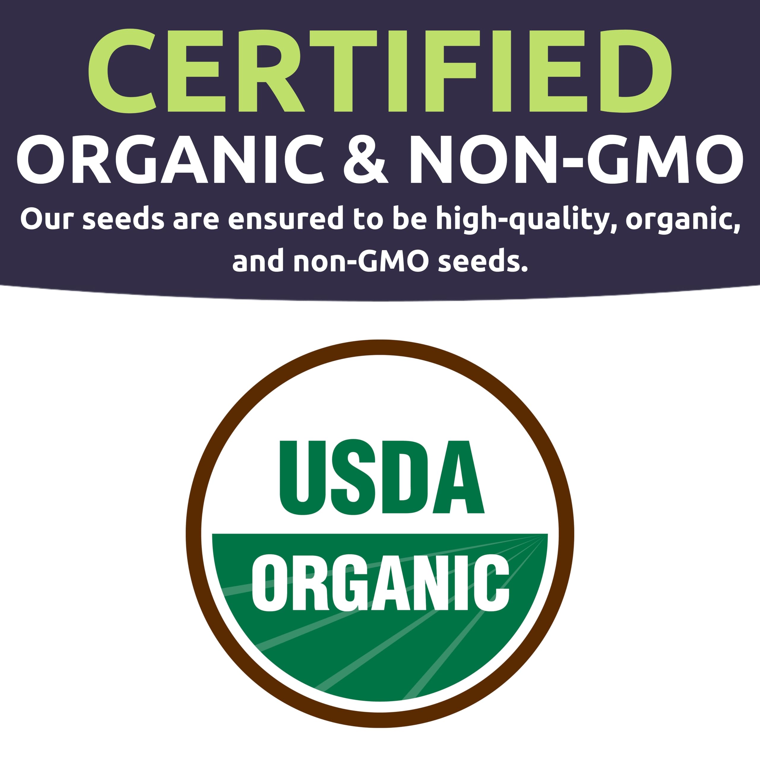 Organic English Thyme Seeds β Seed Packet of Over 8000 Open Pollinated Non-GMO Seeds β Sweet Yards Seed Co.