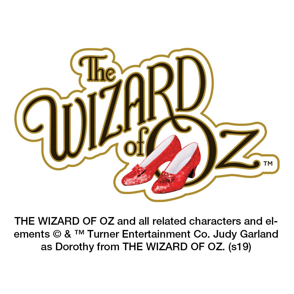 Wizard of Oz Wicked Witch Character Novelty Collectible Demitasse Tea Coffee Spoon