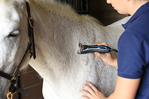 Oster CryogenX Detachable Pet Clipper Blade, Size 10 Wide (078919-446-005)