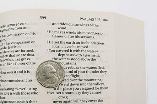 NIV, Holy Bible, Larger Print, Paperback