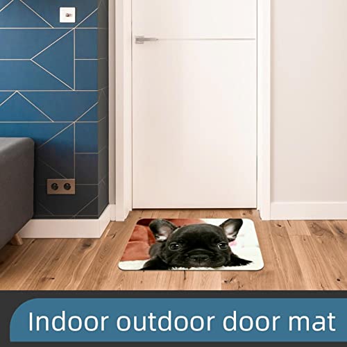 VBFOFBV Kitchen Rug Mats, Soft Kitchen Mat Anti Slippery Machine Washable, Animal French Bull Dog