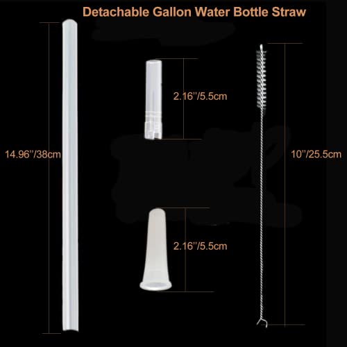 TeHappy Water Bottle Straw for Replacement, Reusable Straws for 64oz and 128oz Big Bottles Jugs, 4 Extra Long 14.9ββ Straw with 2 Cleaning Brushes Set of 6, Cut to Fit Any Bottle